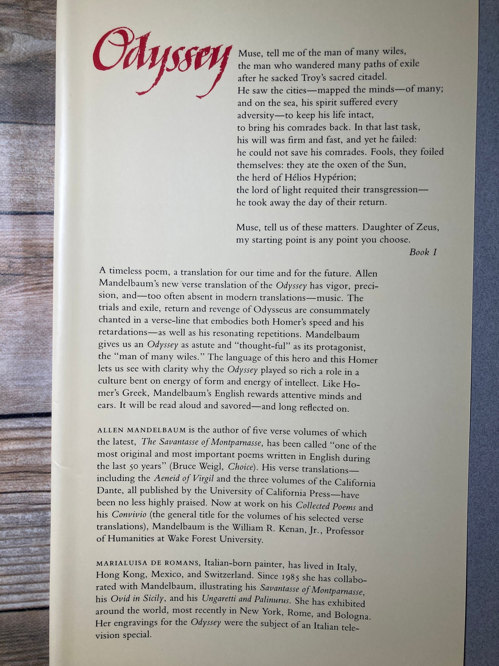 1990 the Odyssey of Homer Allen Mandelbaum - Etsy