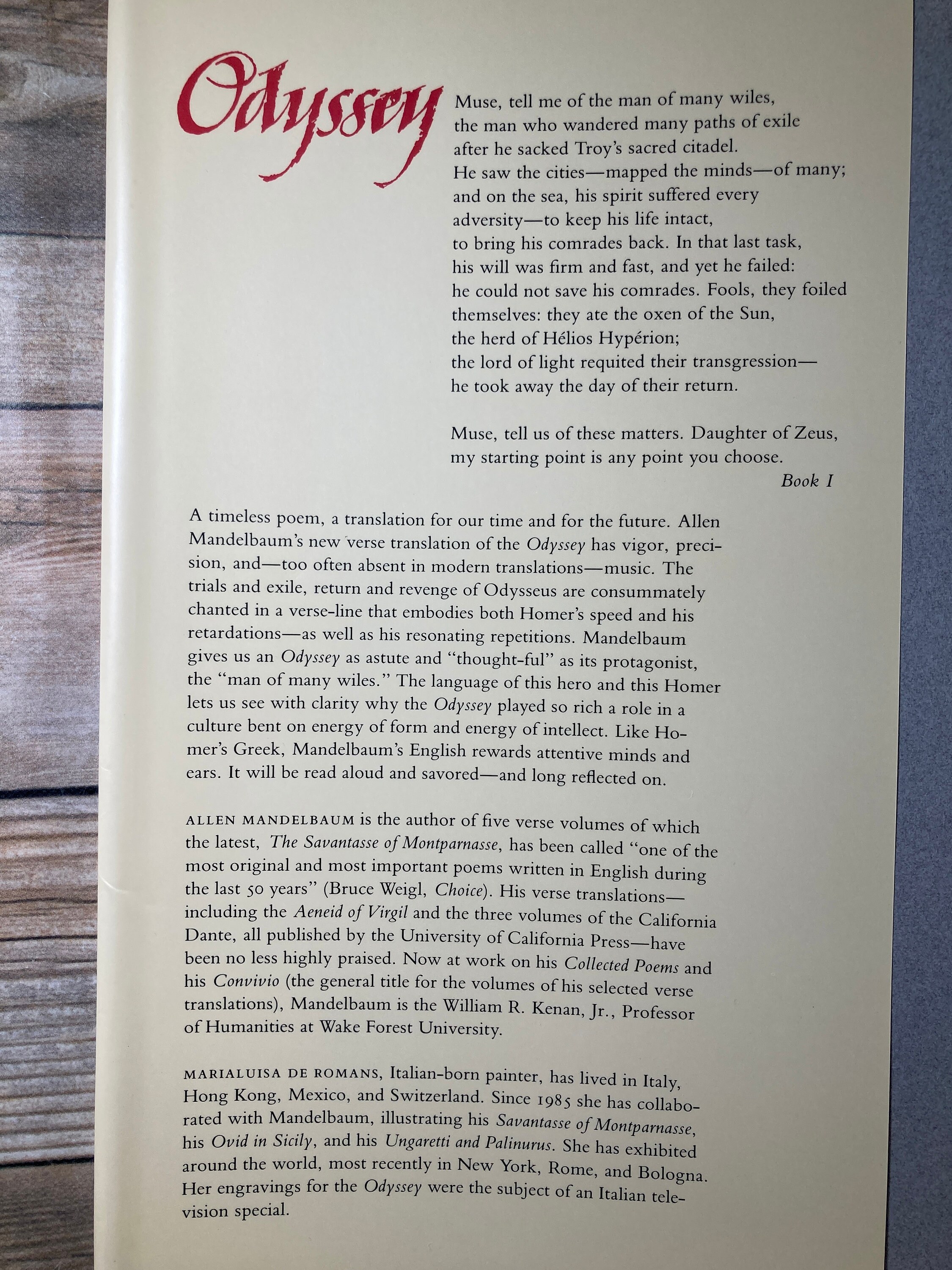 1990 the Odyssey of Homer Allen Mandelbaum - Etsy