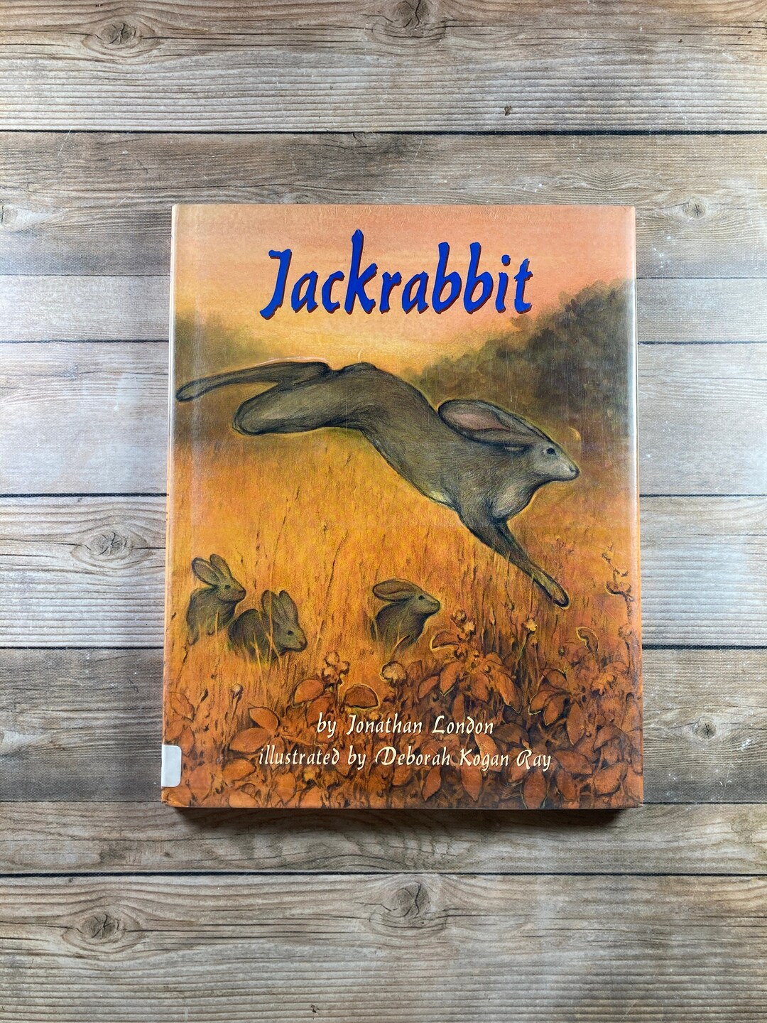 Jackrabbit Vintage Children's Book: Jonathan London, Deborah Kogan Ray ...