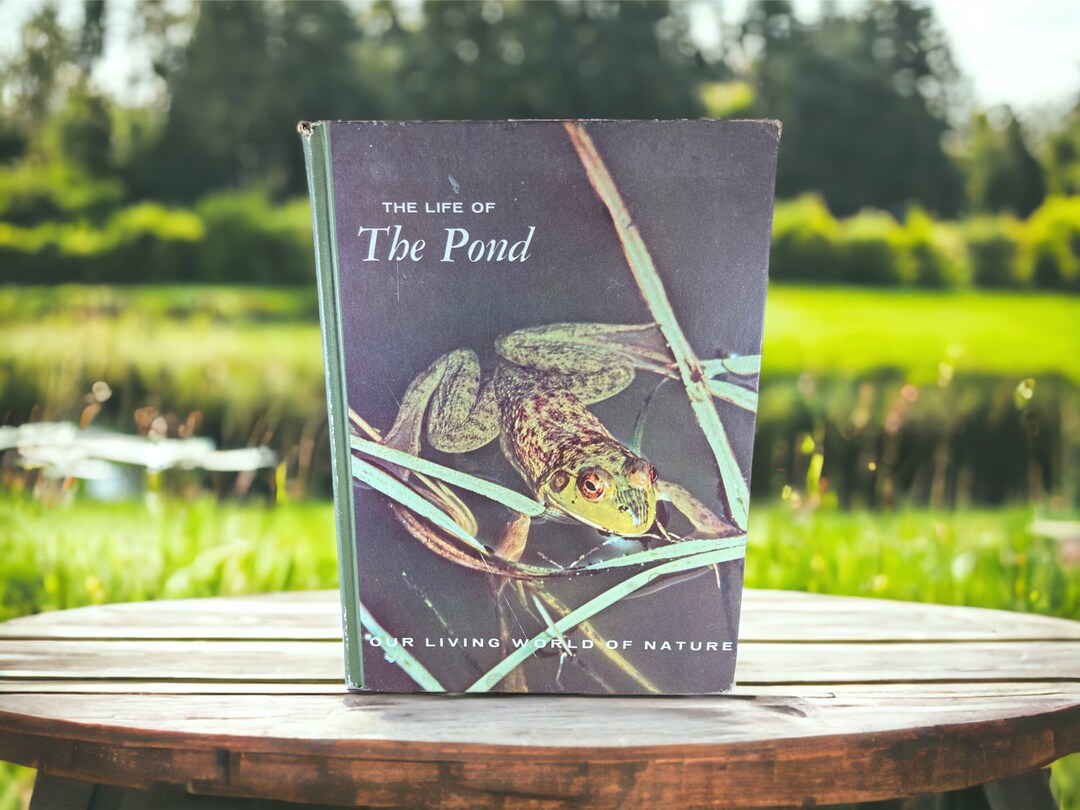 1969 the Life of the Pond Hardcover: Illustrated Science Reference Book ...