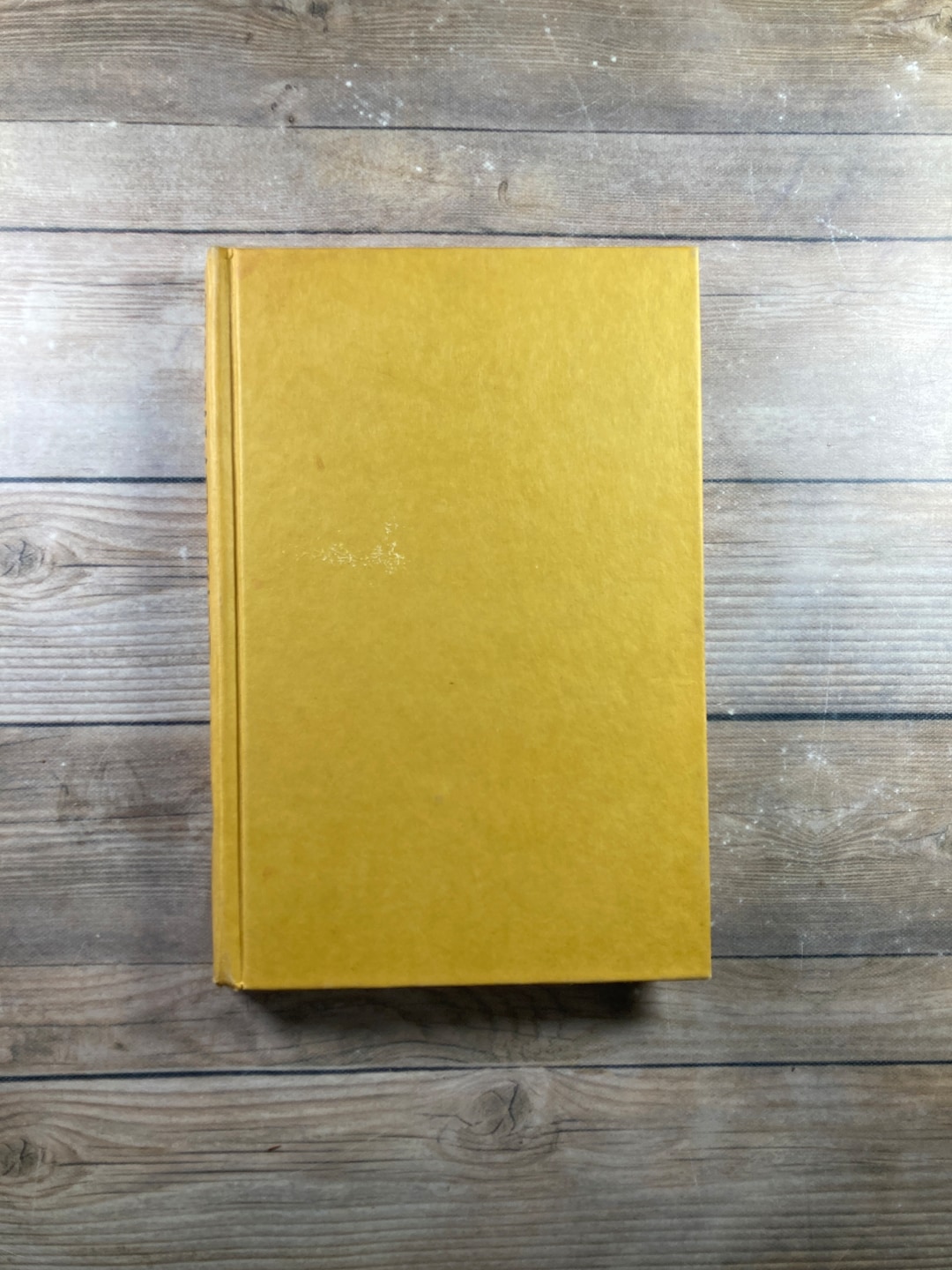 1981 THE PALACE GUARD ~ Charlotte Macleod Canadian-american Author ...