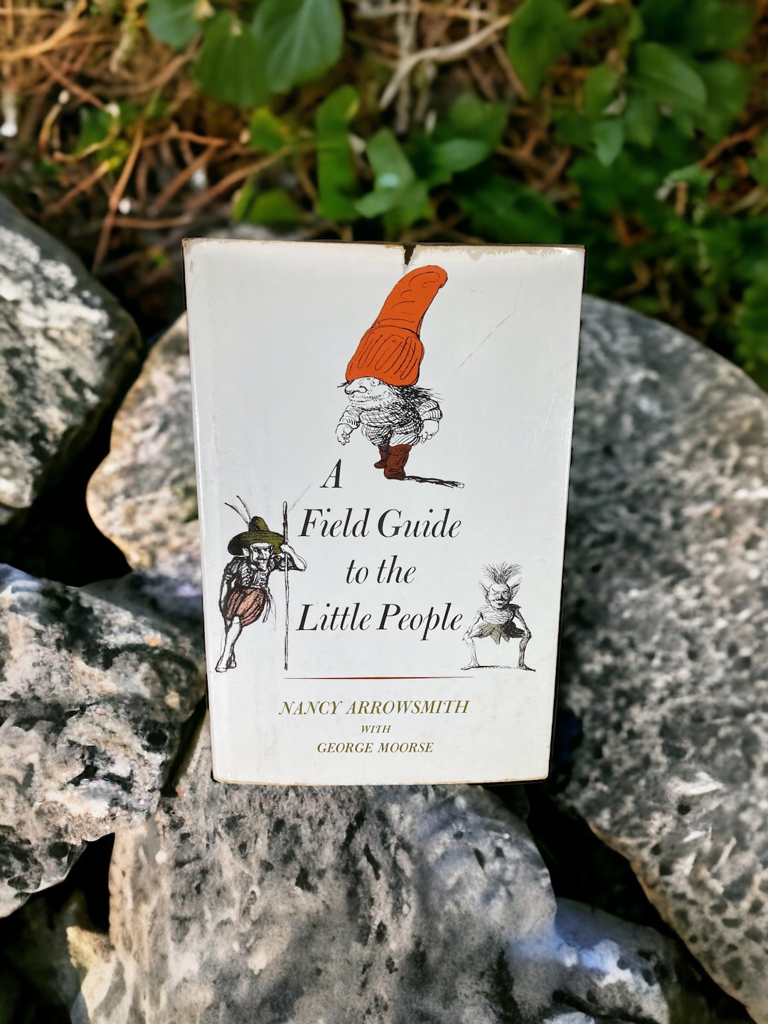 Vintage 1977 Field Guide to the Little People: Mythology & Lore ...