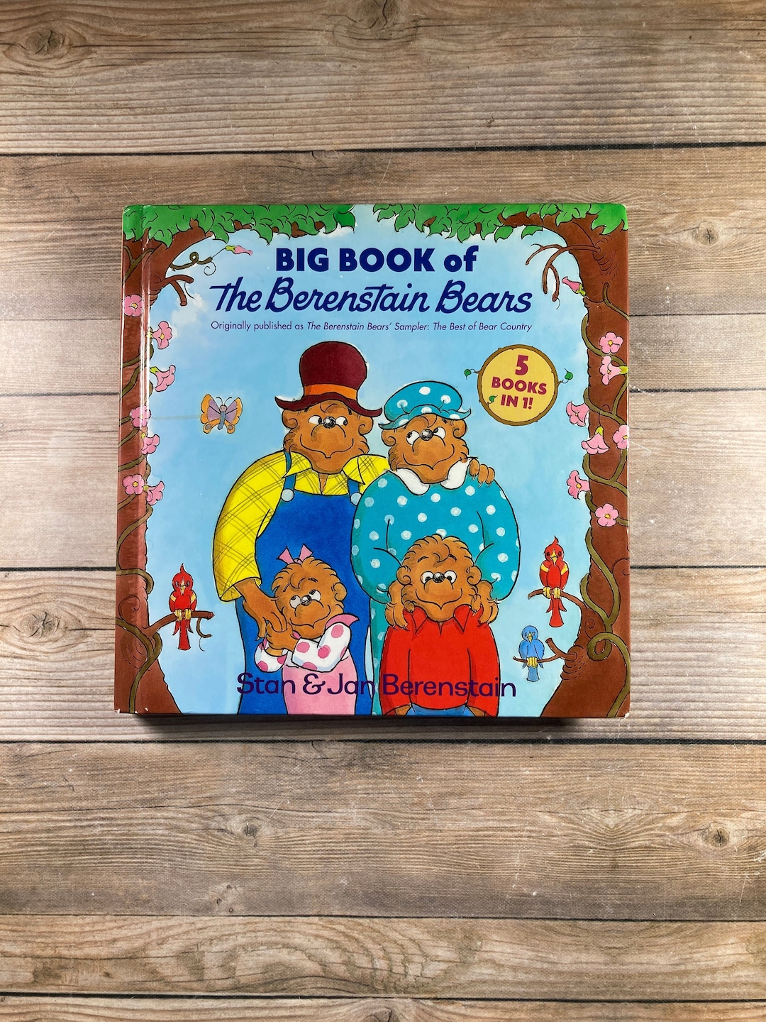 1995 the Big Book of the BERENSTAIN Bears 5 Books in 1 Stan & Jan ...