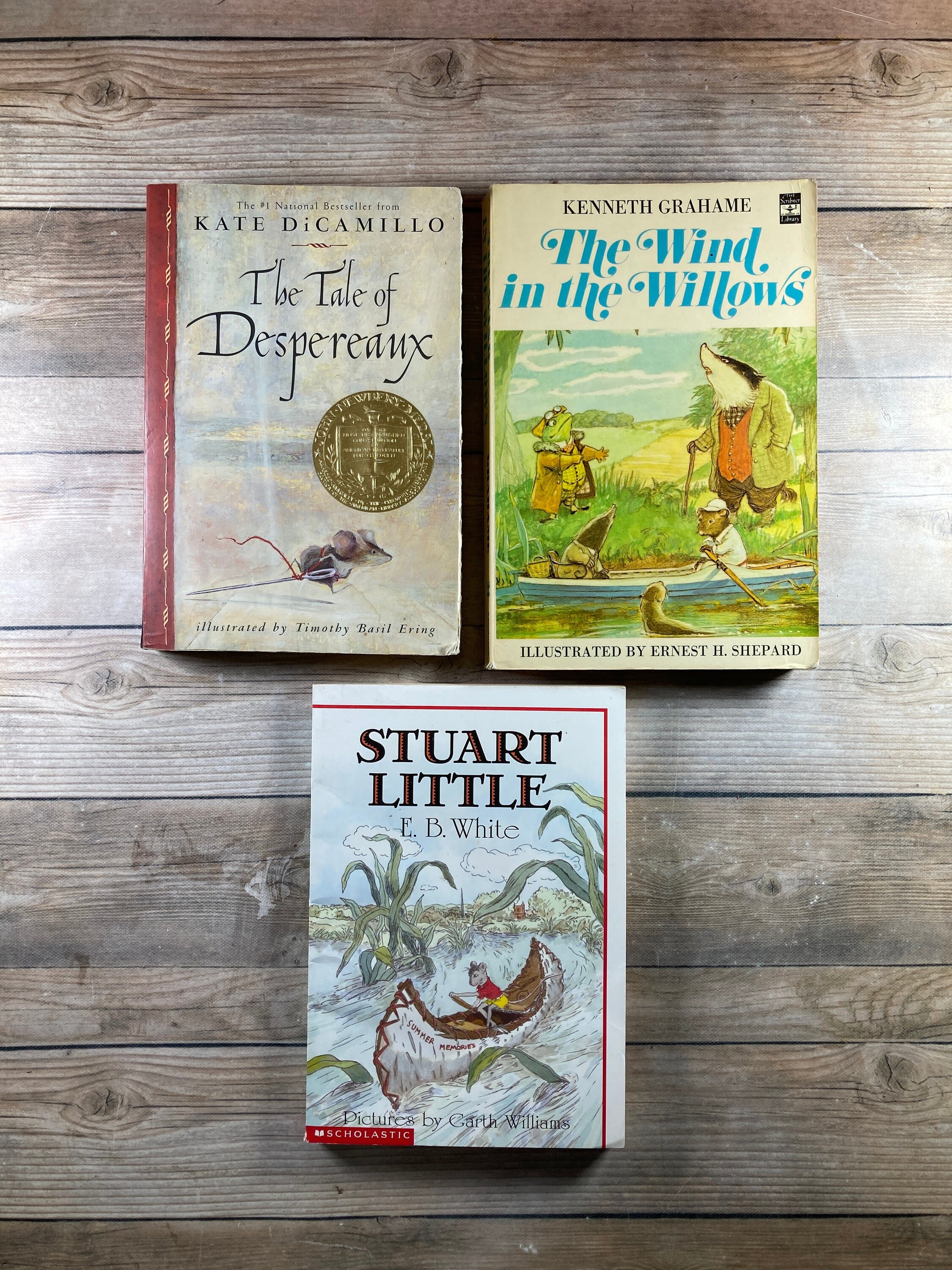 Stuart Little Book Cover