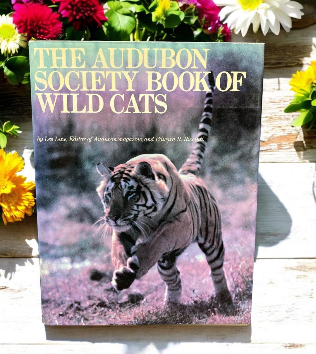 Audubon Society Book of Wild Cats: 1985 Vintage Hardcover - Etsy