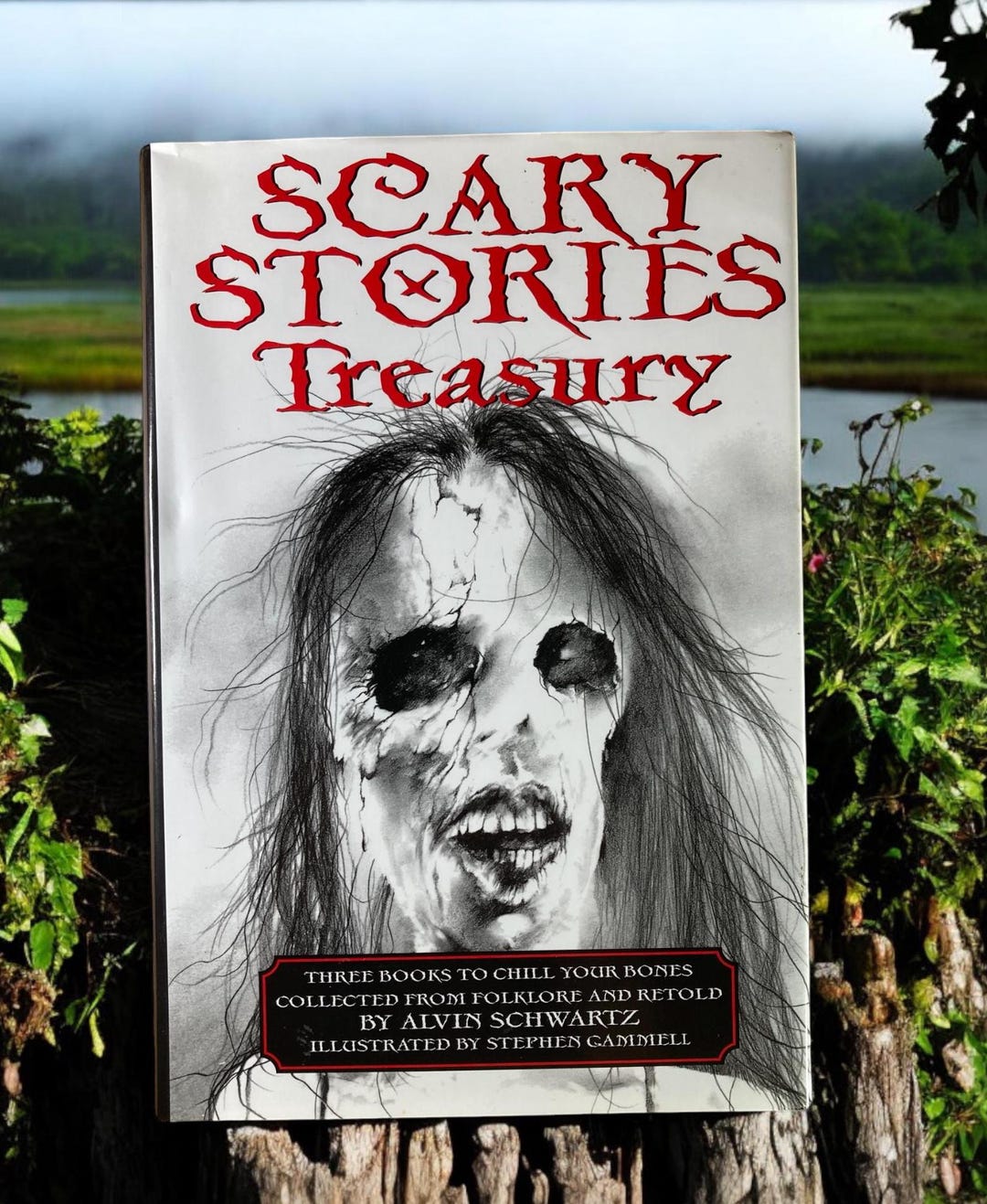 Scary Stories Treasury: Alvin Schwartz, Stephen Gammell Illustrations ...