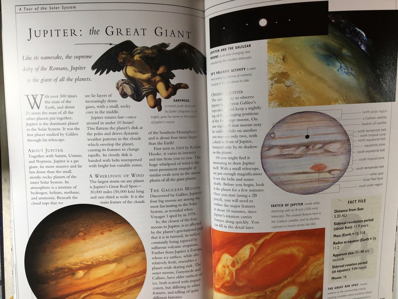 1995 SKYWATCHING David Levy Color Illustrations Astronomy | Etsy