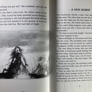 Scary Stories Treasury: Alvin Schwartz, Stephen Gammell Illustrations ...
