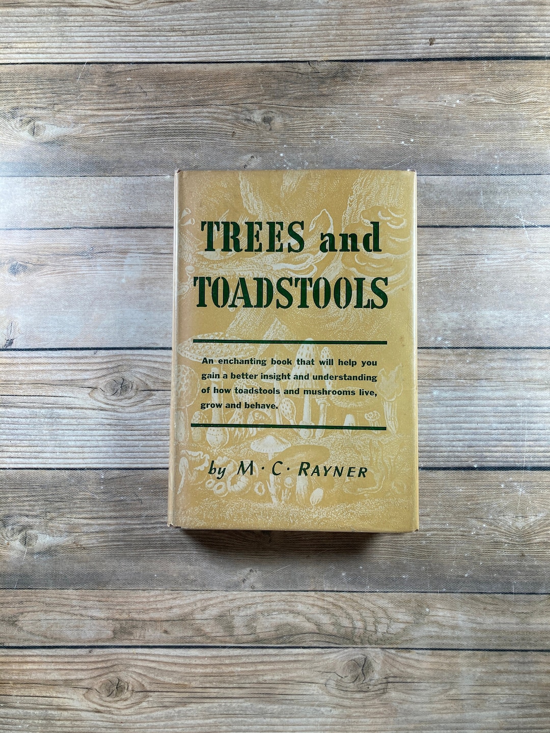 RARE 1947 trees and Toadstools MC Rayner 1st Edition Vintage Hardcover ...