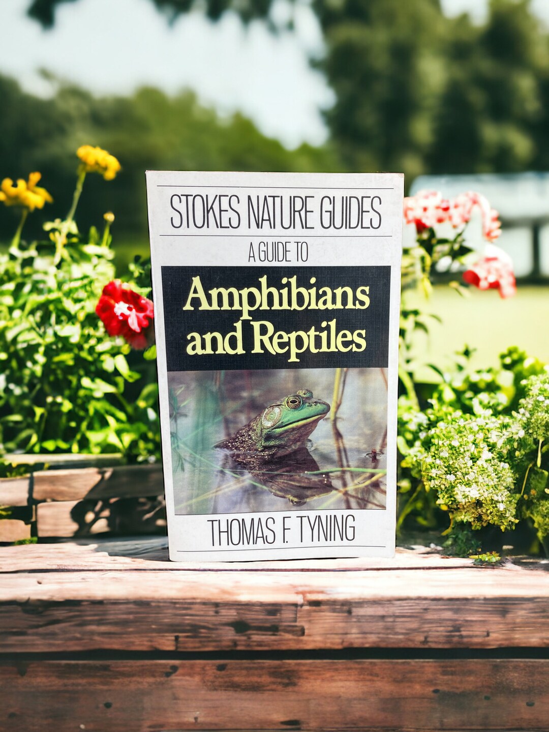 1990 "guide to AMPHIBIANS AND Reptiles" Thomas F Tyning Illustrations Andrew Finch Magee Stokes ...