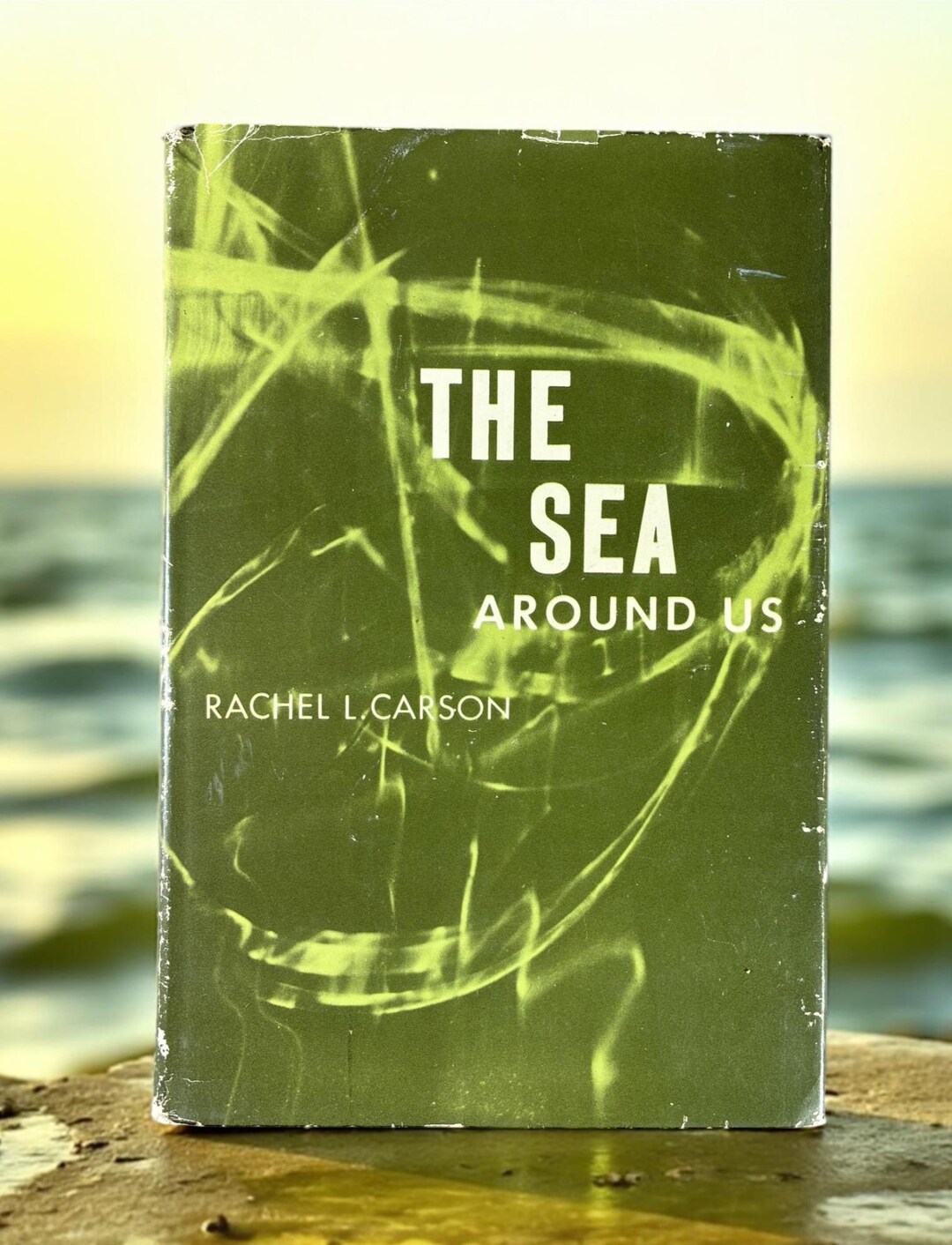 1958 the Sea Around Us: Rachel Carson, Illustrated Vintage Hardcover - Etsy