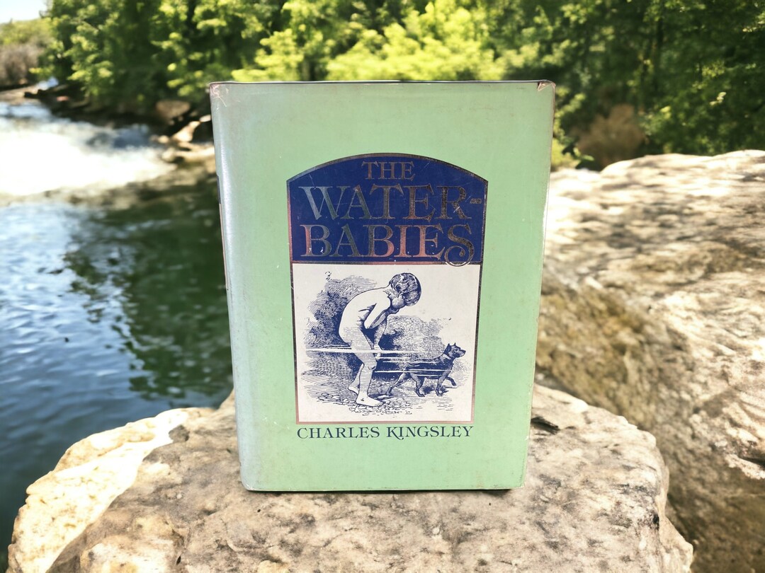 1979 "the Water Babies" Charles Kinglsey Illustrations Linley Sambourne ...