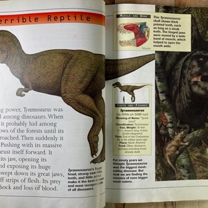 Dinosaurs Book, Dougal Dixon, Illustrated Hardcover - Etsy