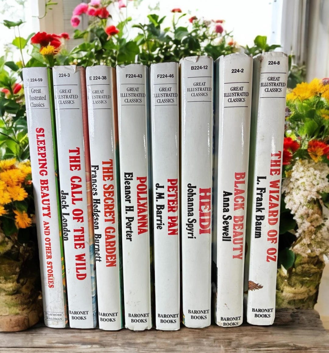 Vintage Illustrated Classic Books: Set of 8, Young Adult Literature - Etsy