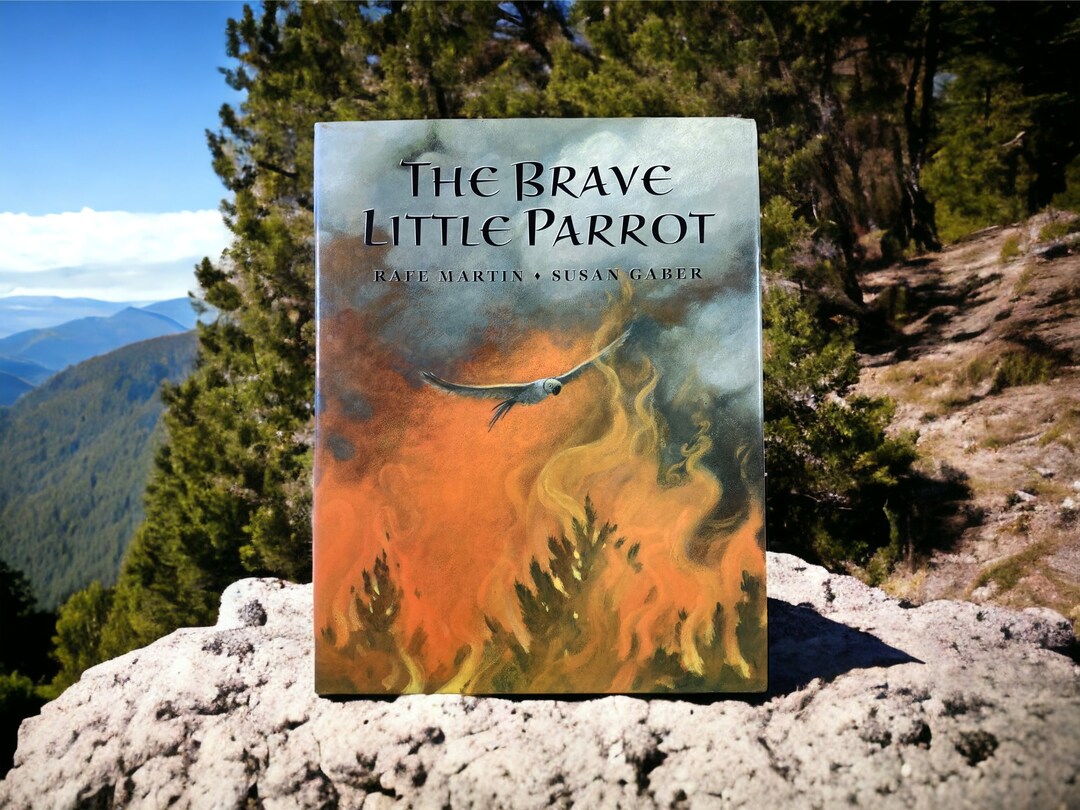 1998 "the Brave Little Parrot" Rafe Martin Illustrations Susan Gaber ...