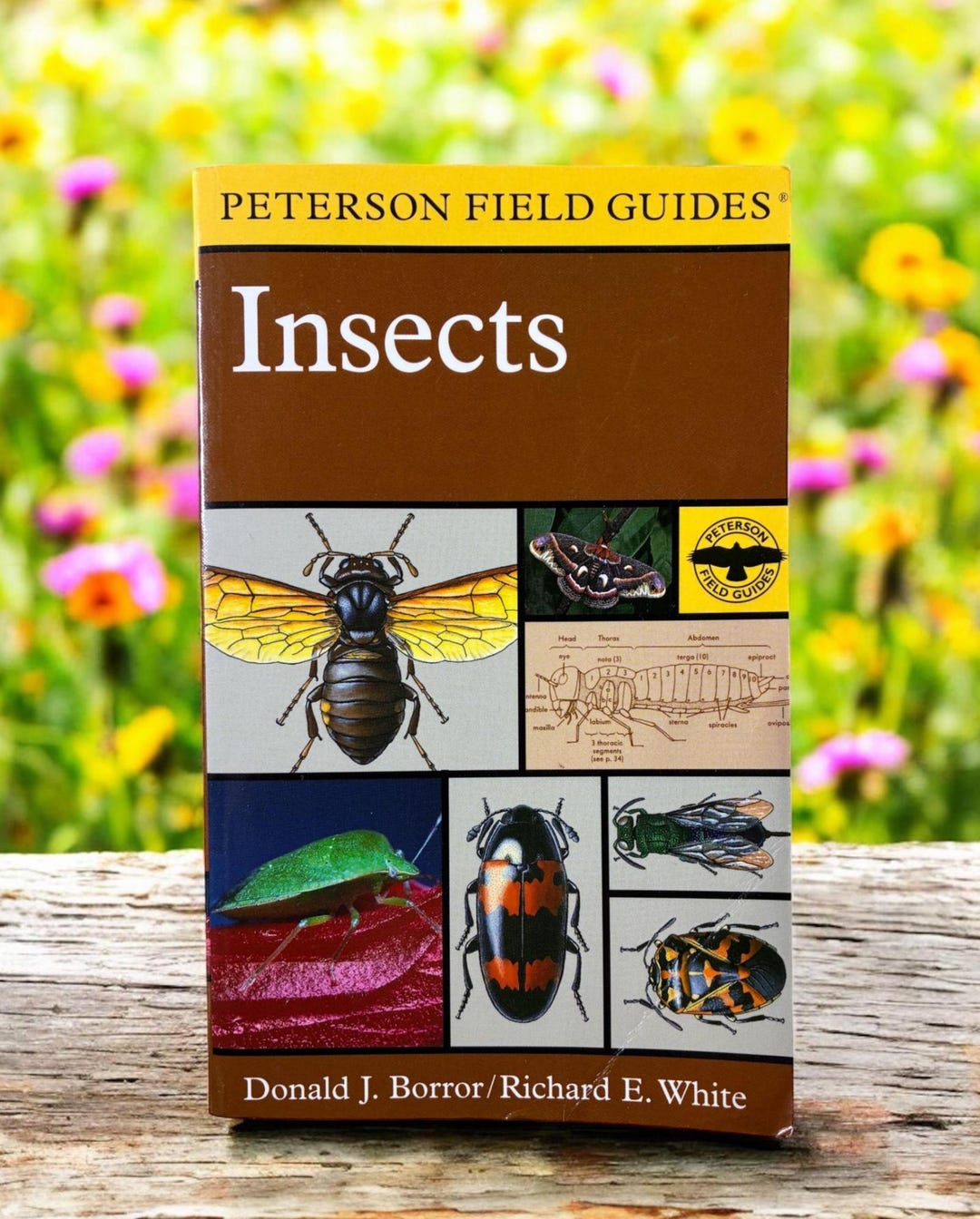 1970 "insects" the Peterson Field Guide Series Donald J Borror ...