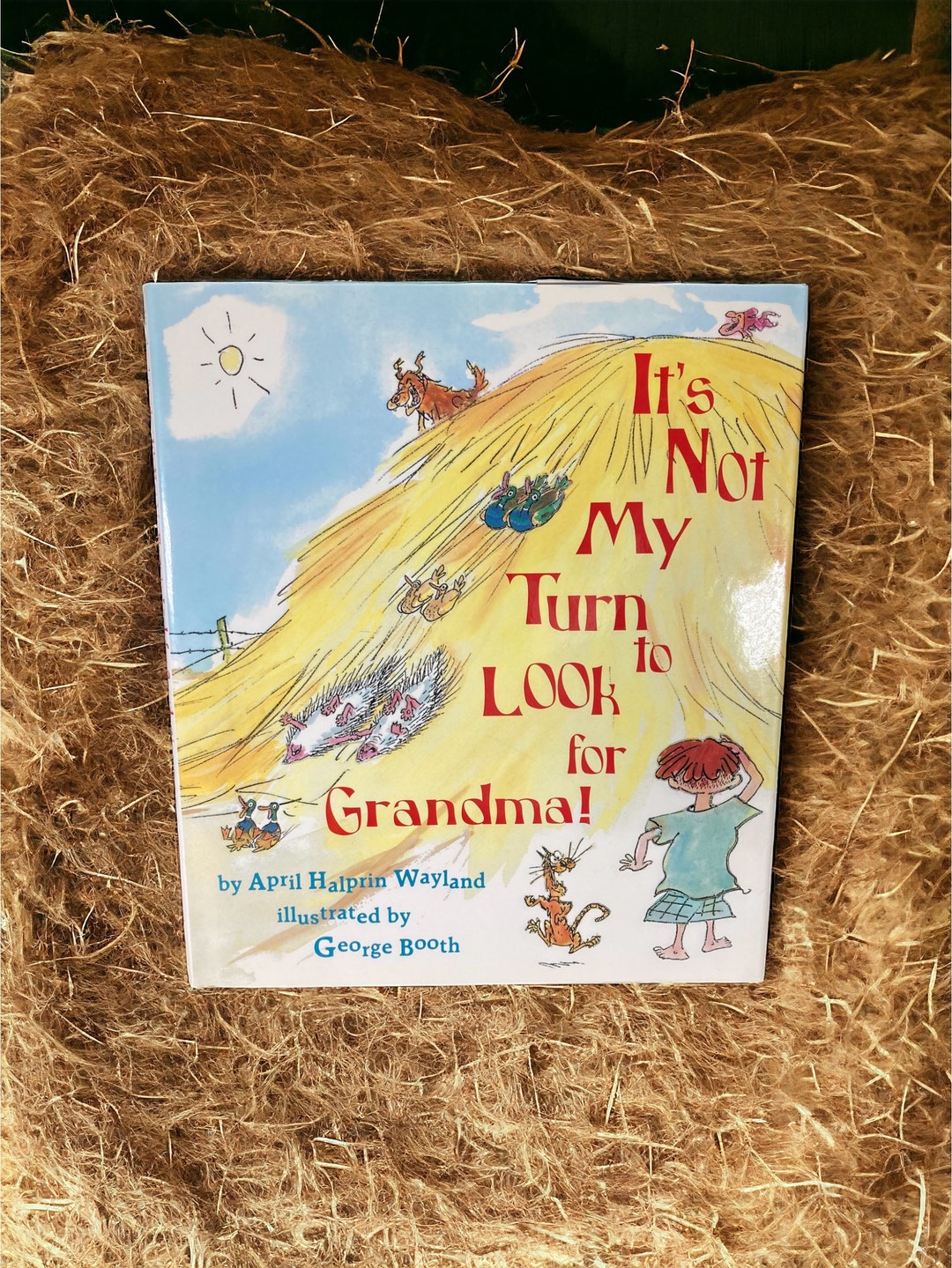 Vintage Children's Book: It's Not My Turn to Look for Grandma, 1995 ...