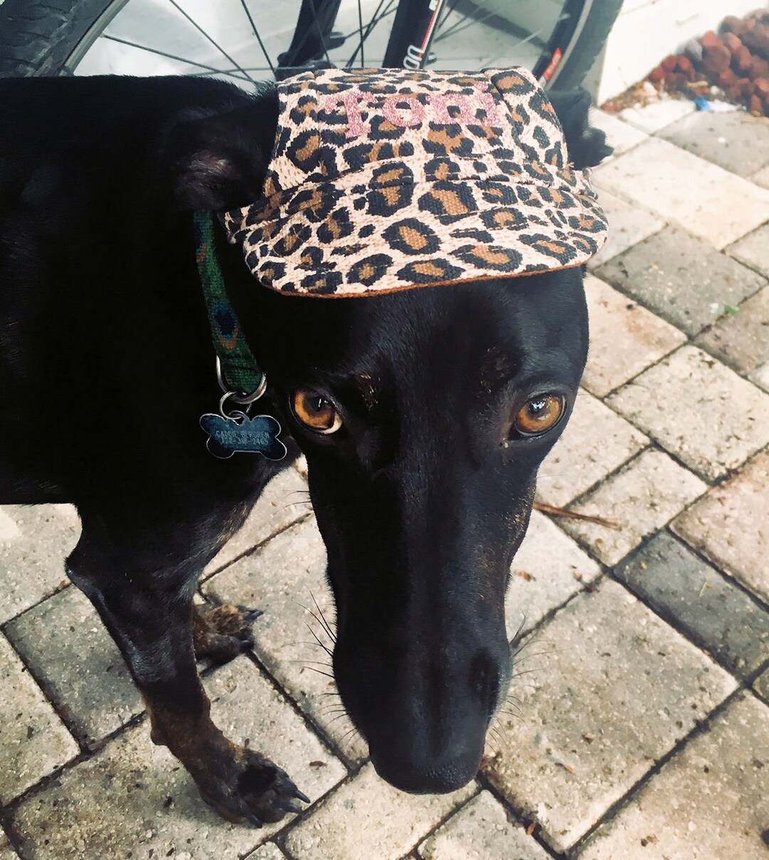 Doggie Caps Dog Baseball Cap Dog Visors Custom Dog Cap - Etsy