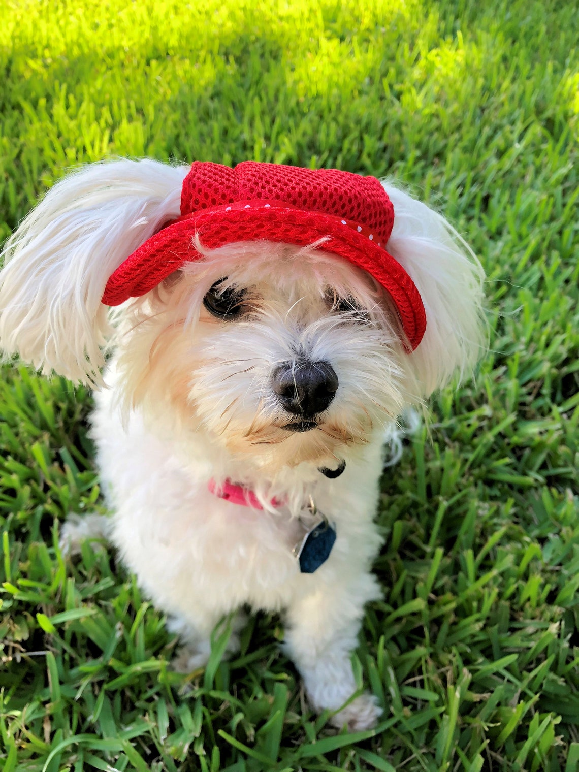Doggie Bonnet Dog Baseball Cap Dog Visors Custom Dog Cap - Etsy España