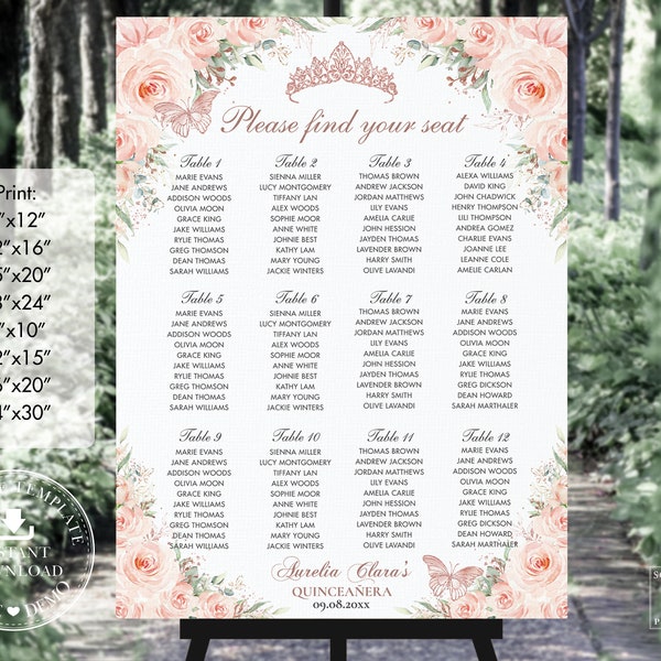 Pink Blush Seating Chart Template - Etsy