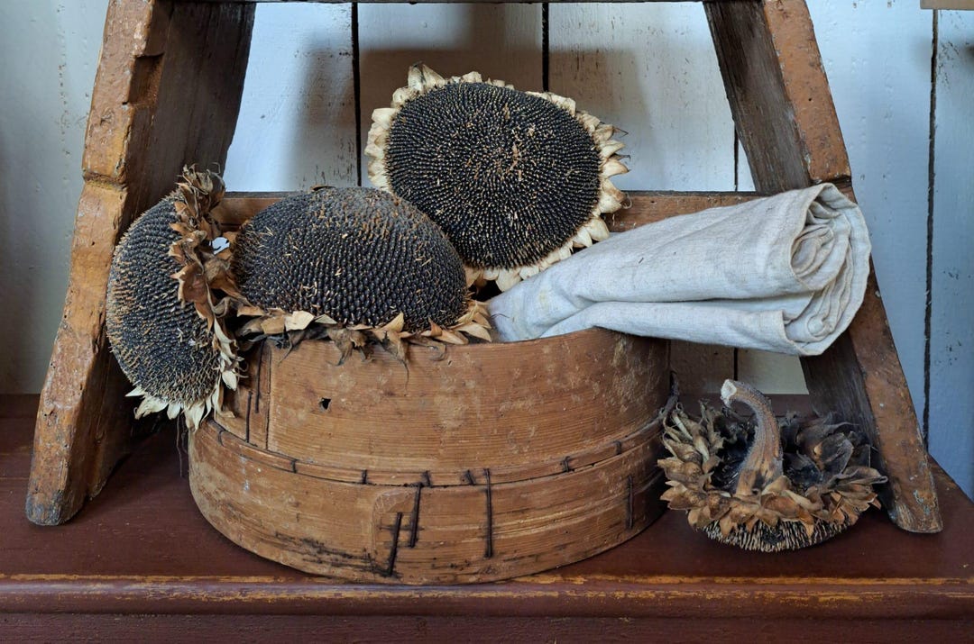 Antique Primitive Flour Sieve From the Farm*farm Sieve*wooden Sieve ...