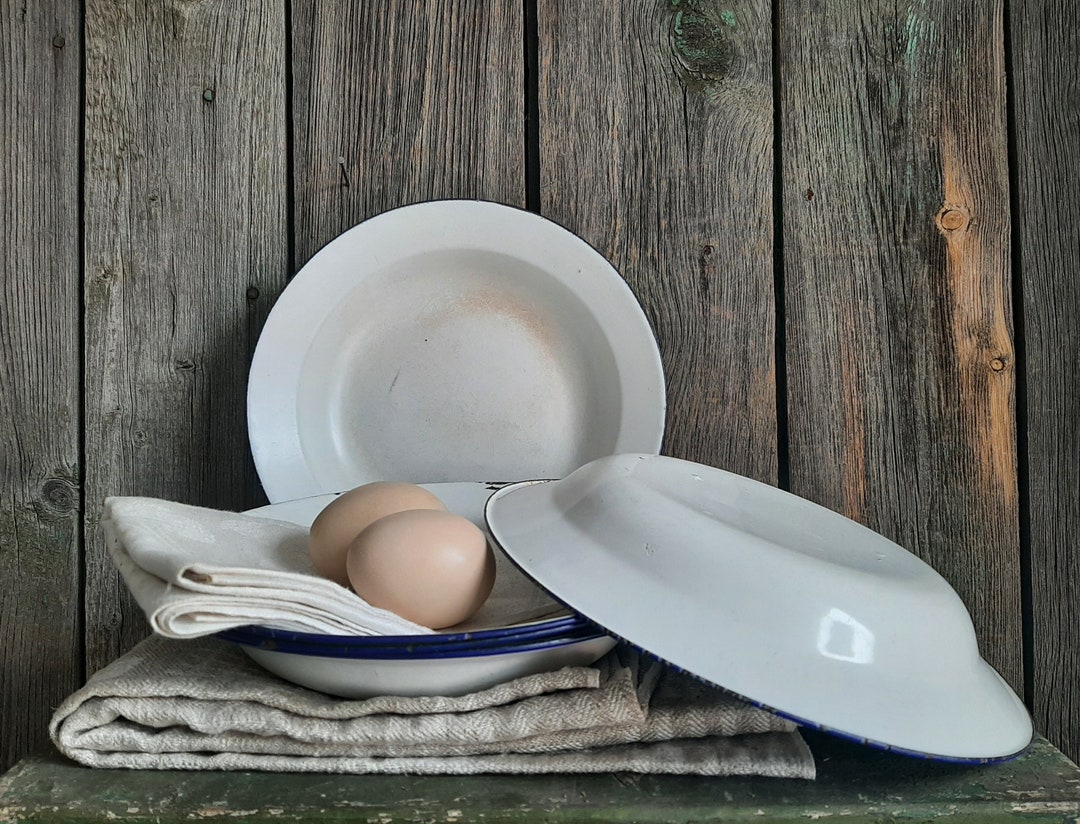 5 Antique Enameled Farmer's Platesplatesdinner Platessoup Plateskitchen ...