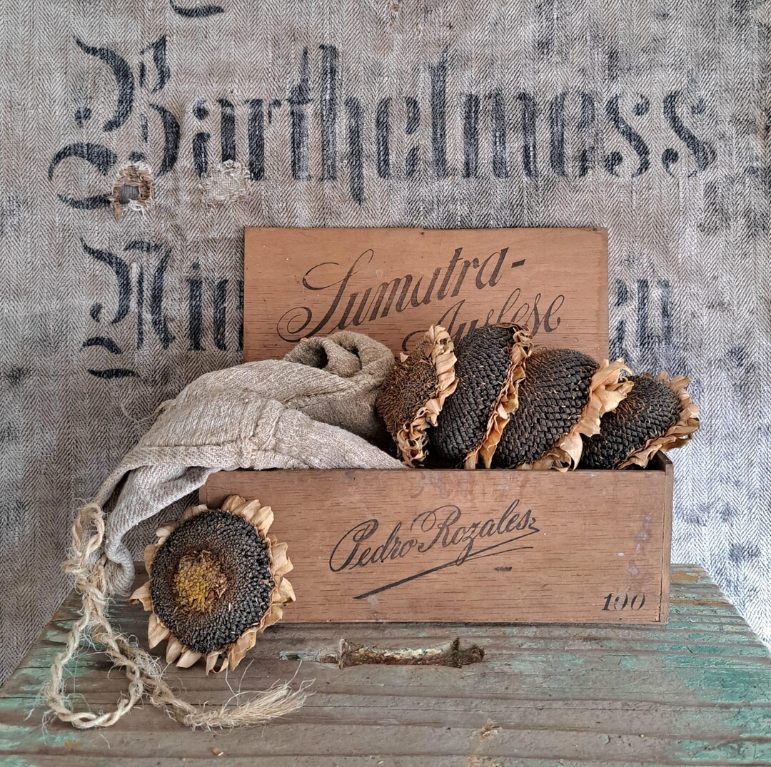 RARE! Antique & Primitive Original Cigar Box*wooden Box*storage Box - Etsy