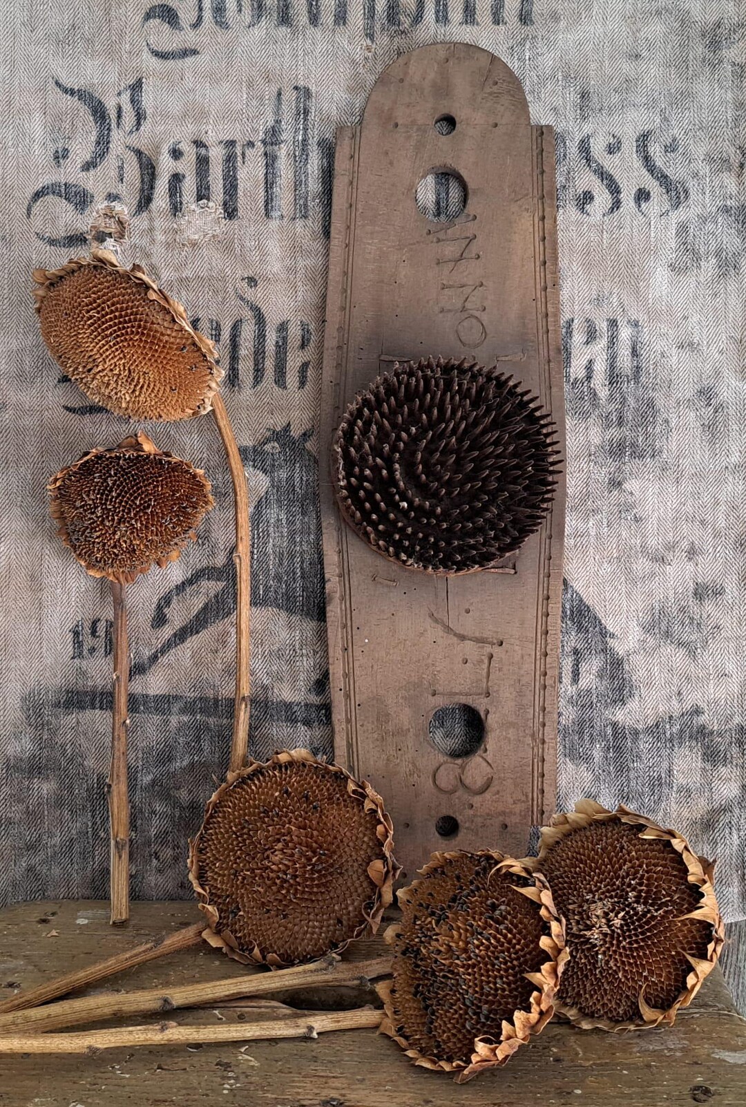 RARE From 1738! Antique Flax Comb*flax Hackle...antique Farmer's Tool ...