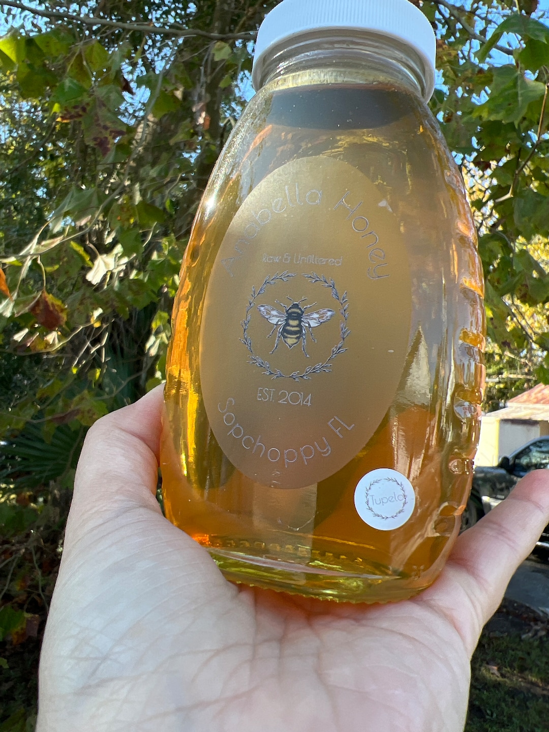 Tupelo Honey Raw and Unfiltered/natural Honey/local Honey/beekeeping ...