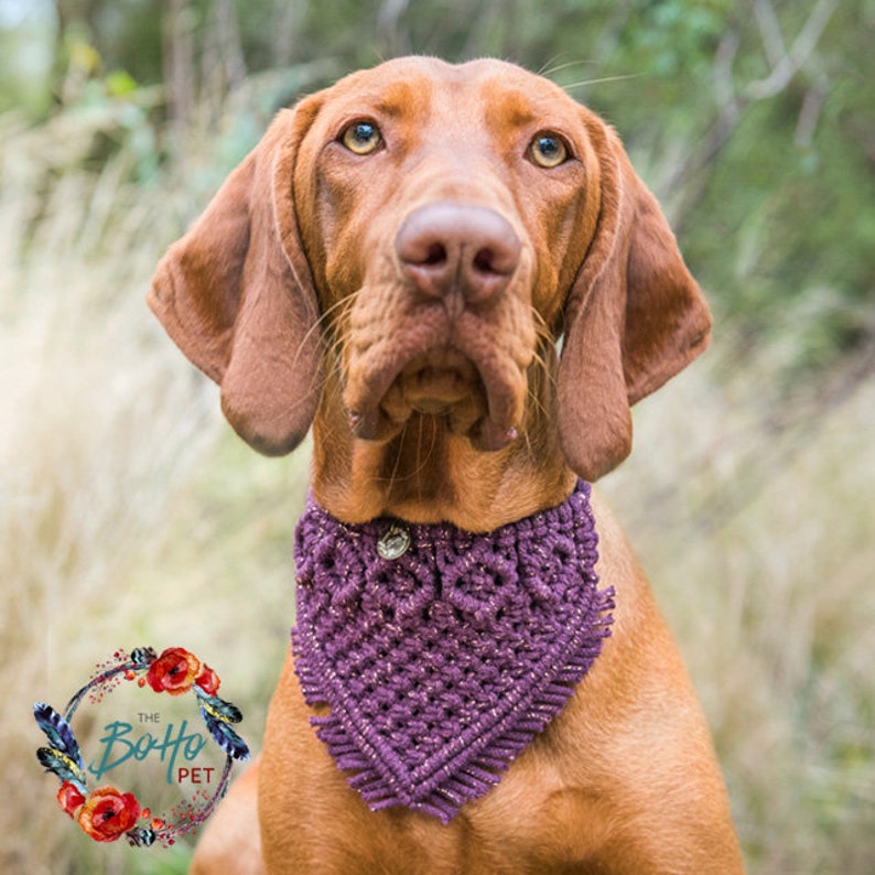 Boho Styled Macramé Dog Pet Bandanas - Etsy