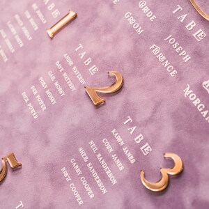 Mauve Velvet & Gold Modern Velvet Seating Chart, 3d Elegant Find Your ...
