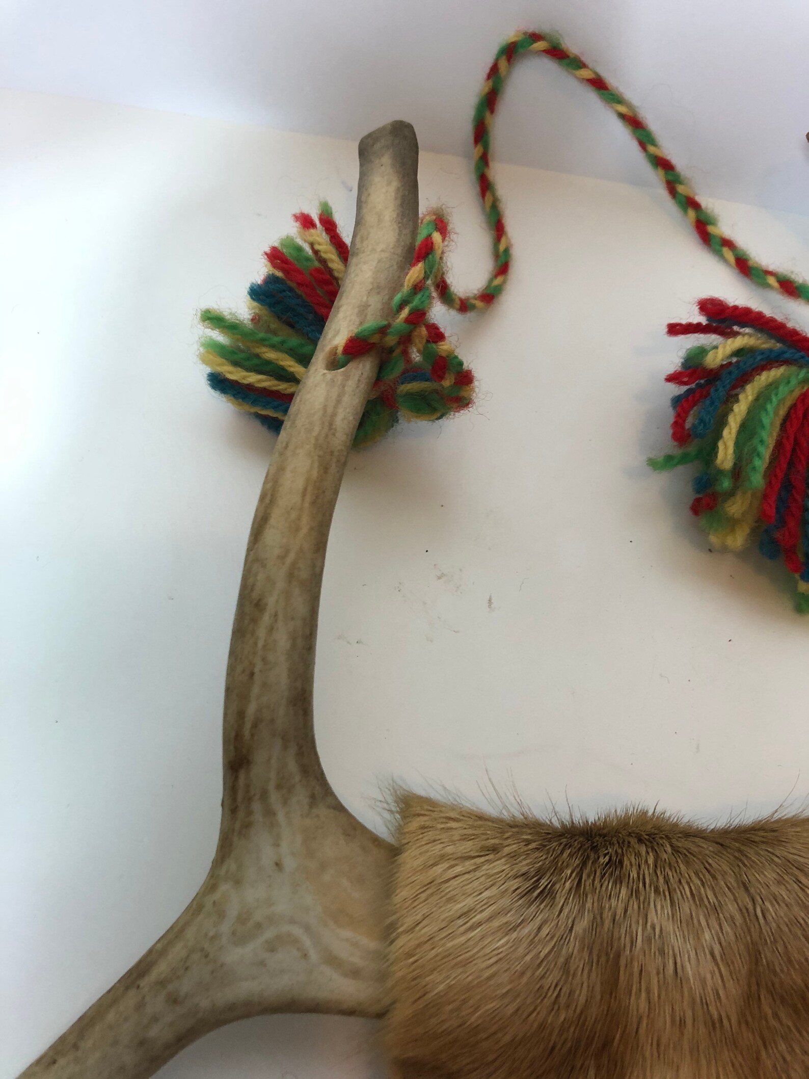 A Genuine Reindeerhorn With Pure Reindeer Horn and Reindeer Leaves ...
