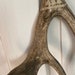 A Genuine Reindeerhorn Crown Knife, Chandeliers /pure Reindeer/ Swedish ...
