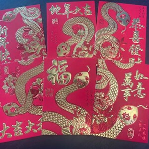 2025 Lucky Year of the Snake Good Luck Charm With Money Coin Ball, Vase ...