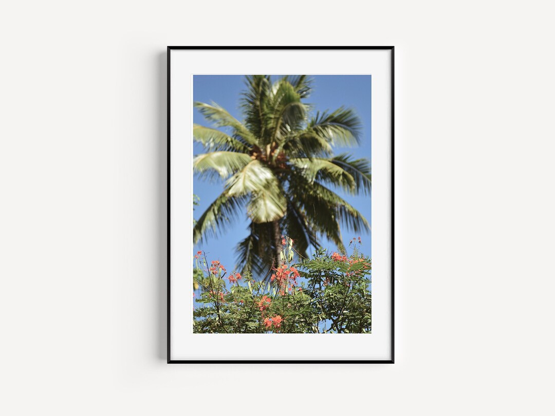 Island Palm & Flowers Fine Art Print Vintage Botanical Photography ...