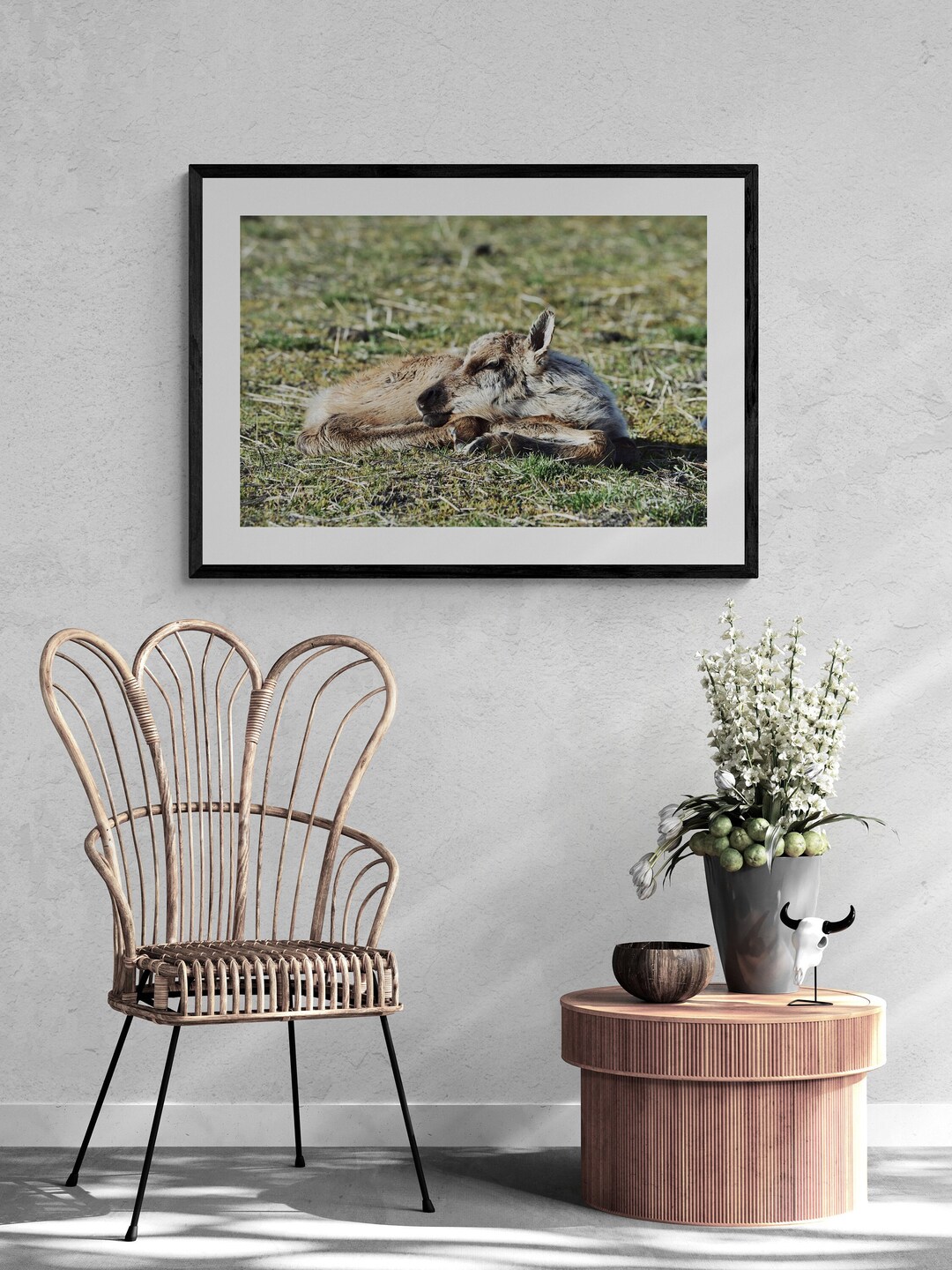 Sleeping Baby Caribou Fine Art Print - Etsy