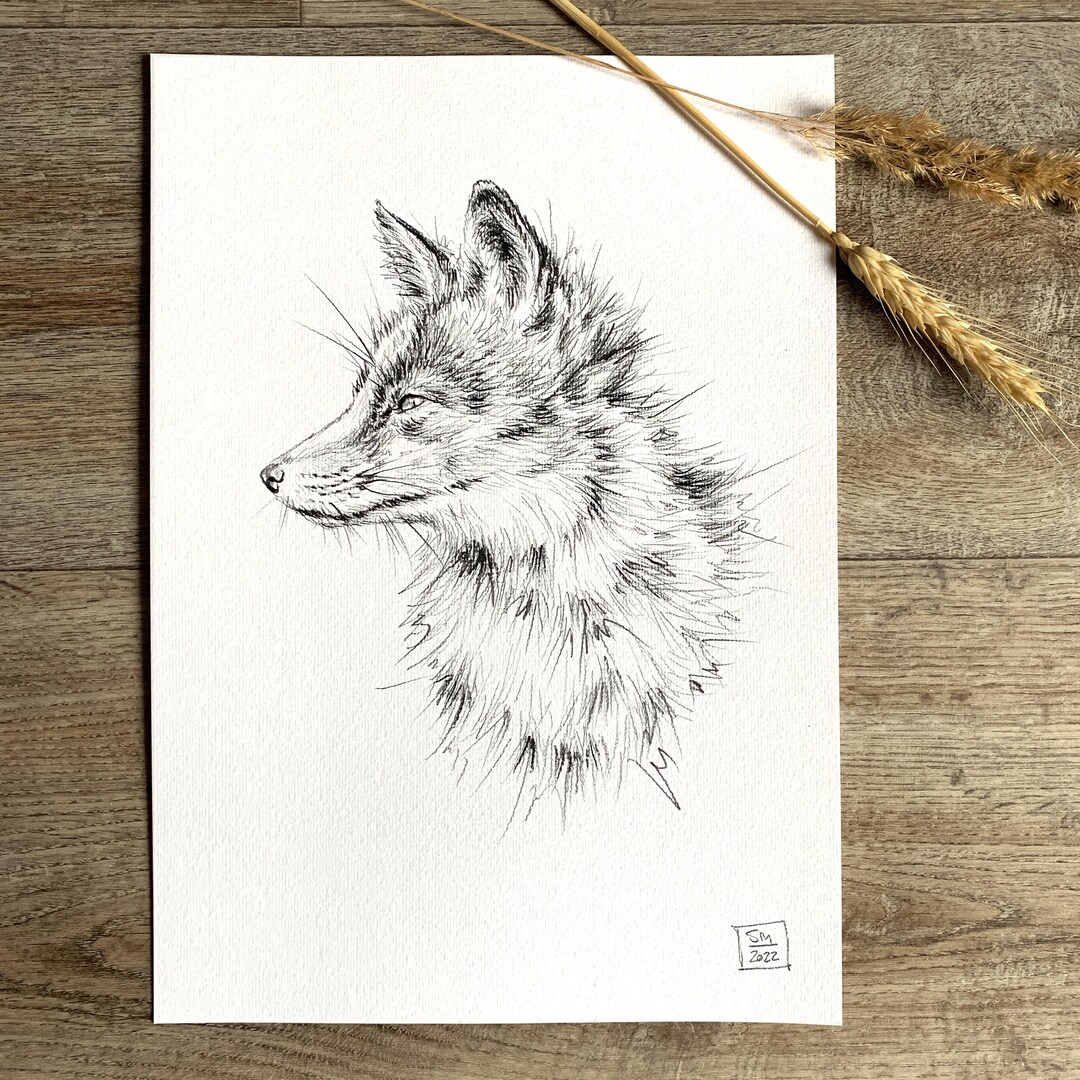 A4 Original Pencil Drawing Red Fox Vulpes Vulpes No Print • Handmade ...