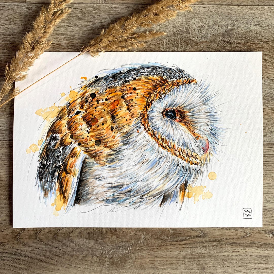 A4 Original Watercolor Painting Western Barn Owl European Tyto Alba No ...