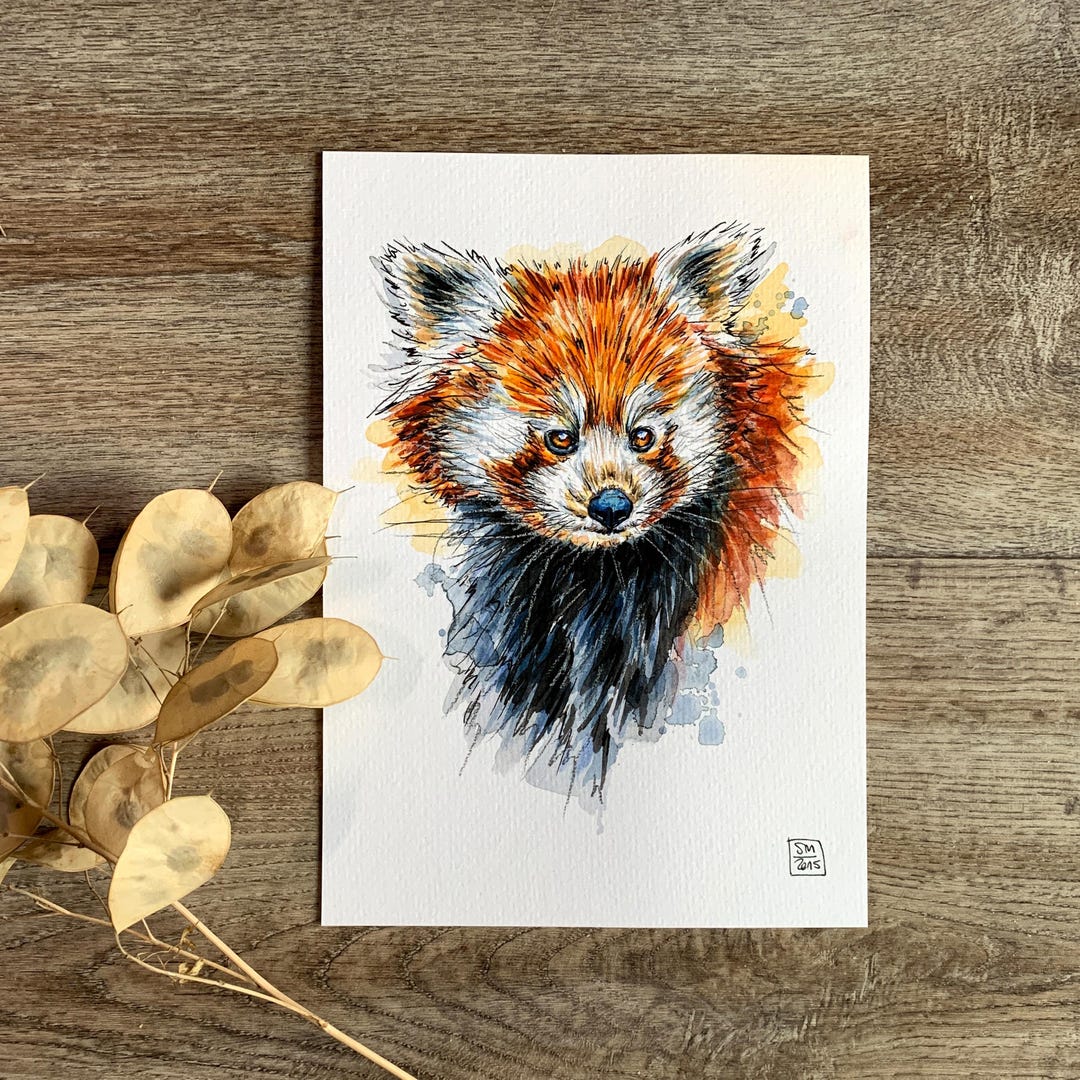 A5 Original Watercolor Painting Red Panda Bear Ailurus Styani No Print ...