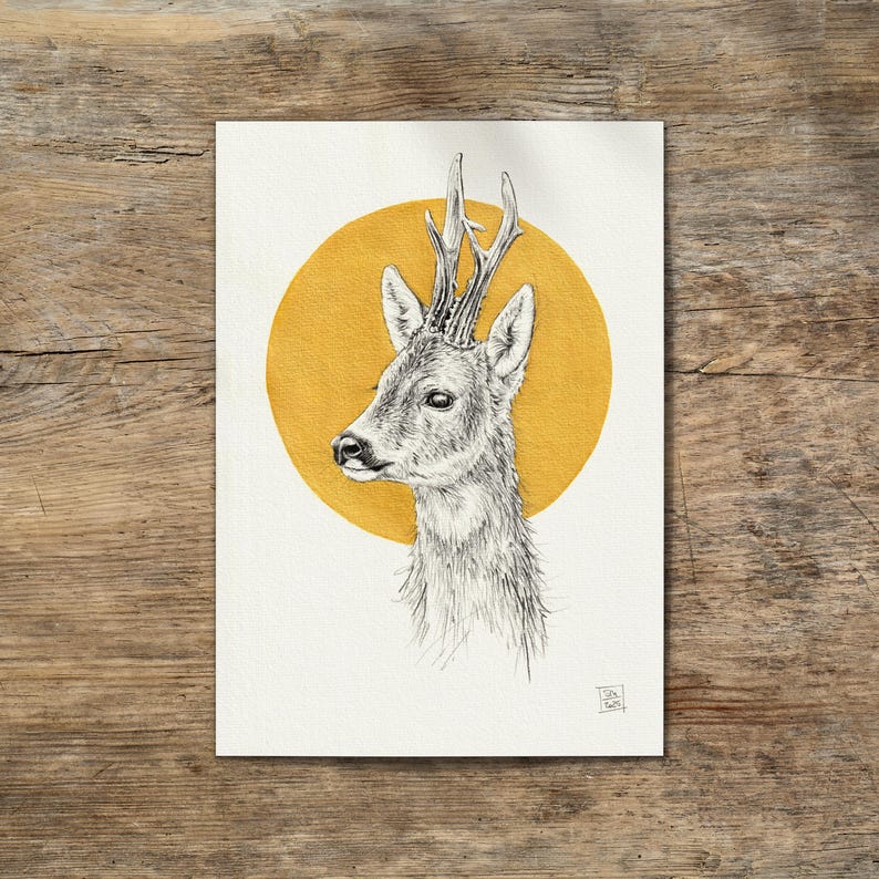 A4 Original Pencil Drawing Roe Deer With a Golden Circle | No Print ...