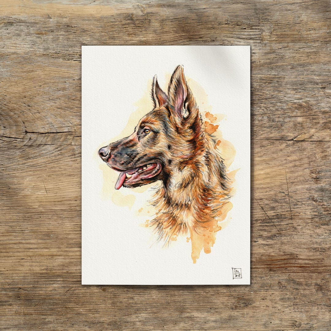 A4 Original Watercolor Painting German Shepherd Dog Alsatian No Print ...