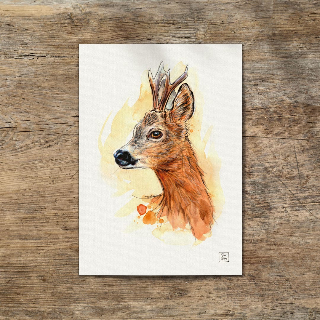 A4 Original Watercolor Painting Roe Deer Roebuck Capreolus Capreolus No ...