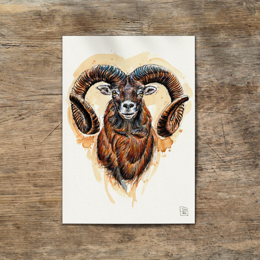 A4 Original Watercolor Painting Mouflon Ovis Gmelini Aries No Print ...