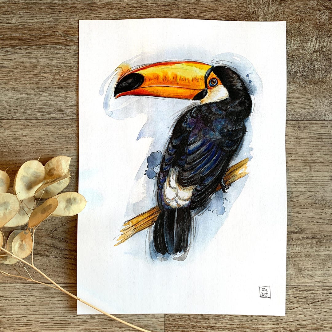 A4 Original Watercolor Painting Toco Toucan Ramphastos Toco No Print ...