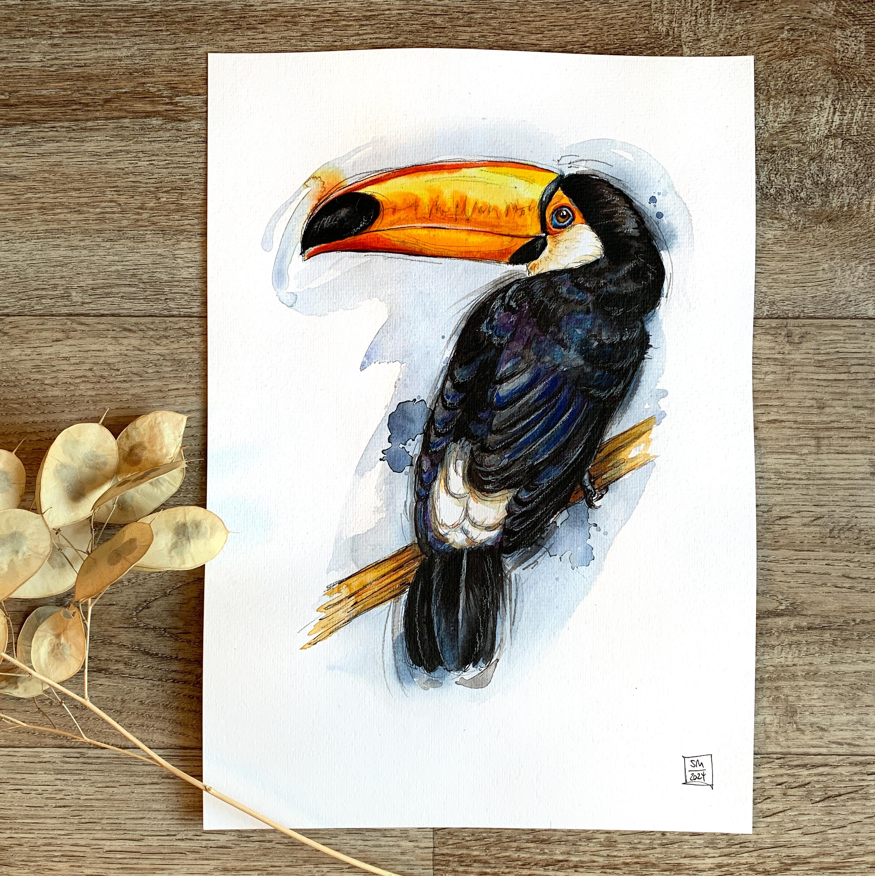A4 Original Watercolor Painting Toco Toucan Ramphastos Toco No Print ...