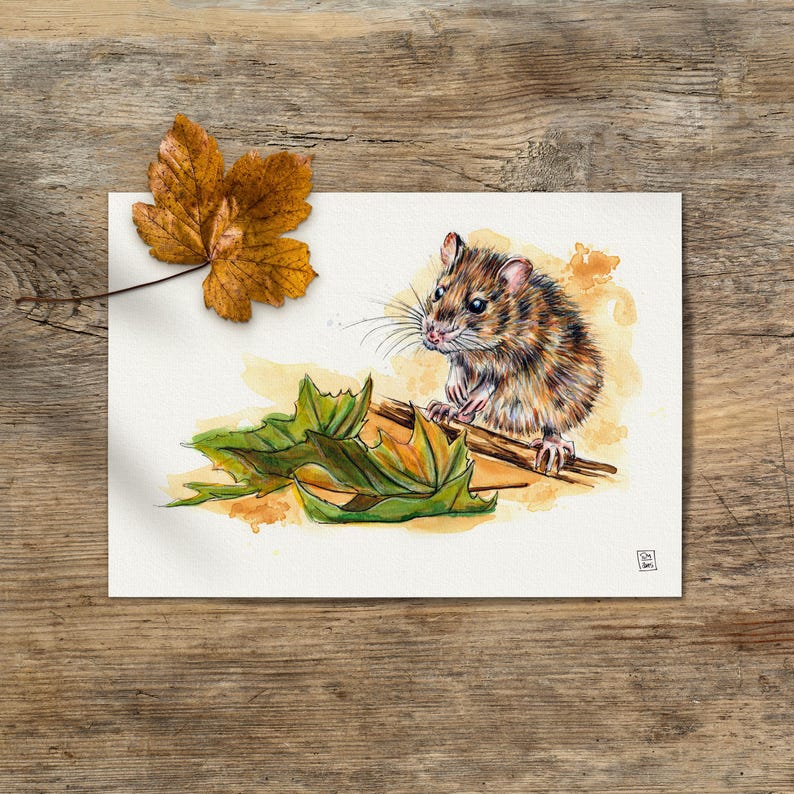 A4 Original Watercolor Painting Rat Rattus Brown Mouse No Print ...