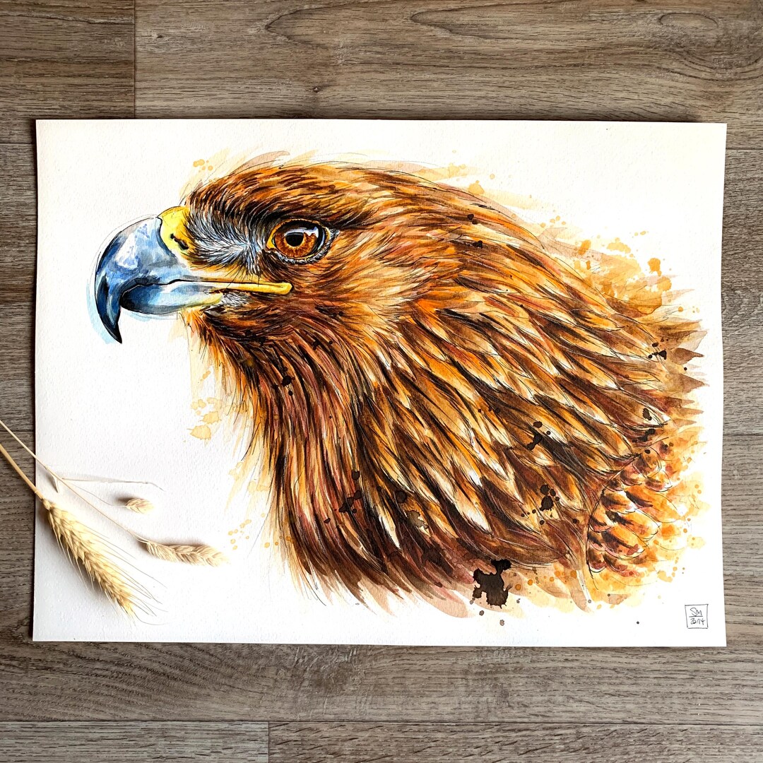 30 X 40 Original Watercolor Painting Golden Eagle Aquila Chrysaetos No ...