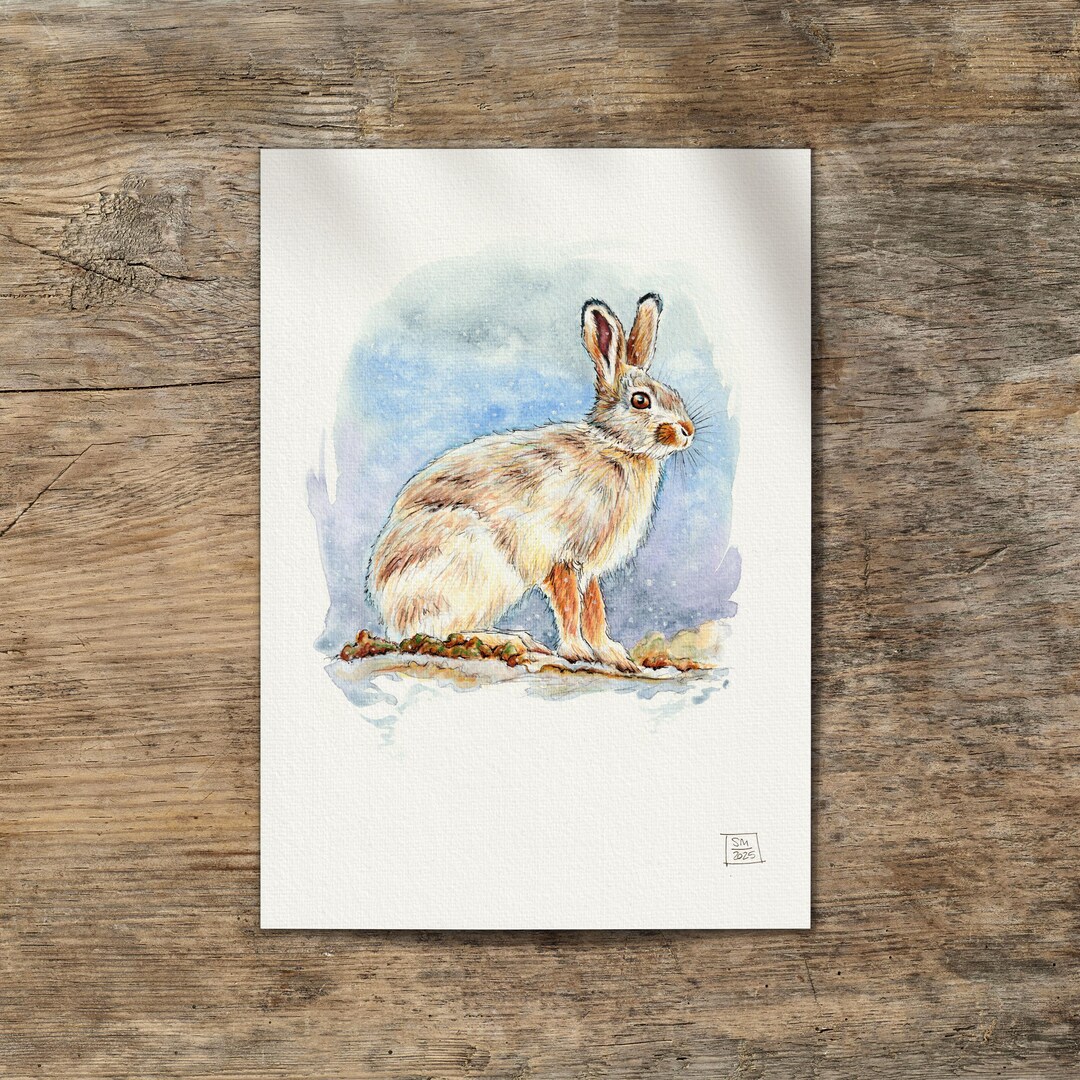 A4 Original Watercolor Painting Mountain Hare Bunny Cony Coney Snow ...