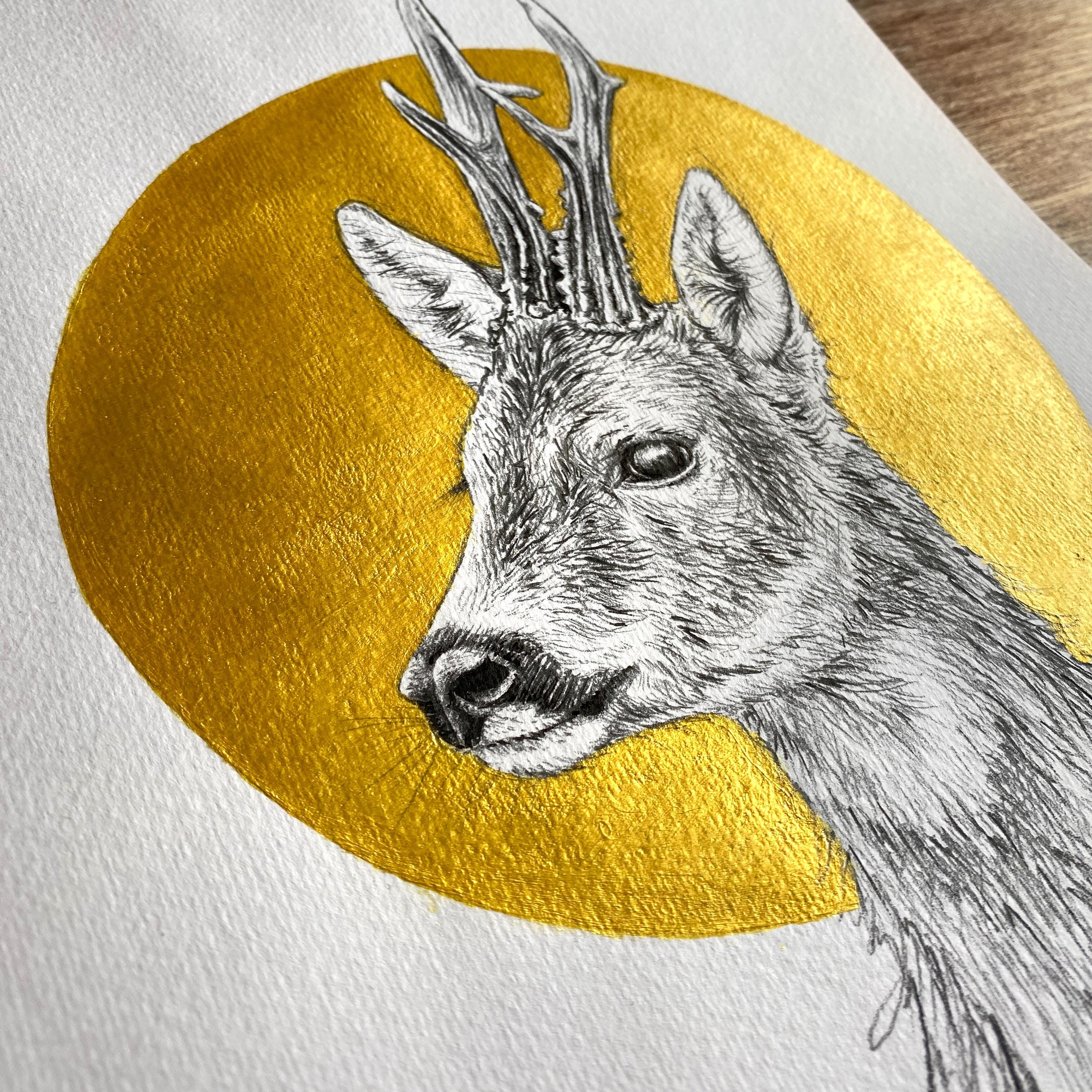 A4 Original Pencil Drawing Roe Deer With a Golden Circle | No Print ...