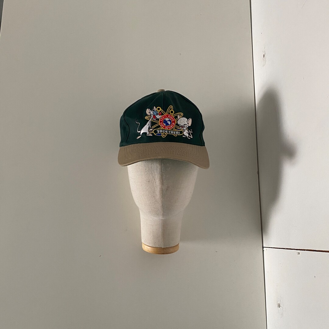 90s Vintage Pinky and the Brain Baseball Cartoon Summer Hat - Etsy
